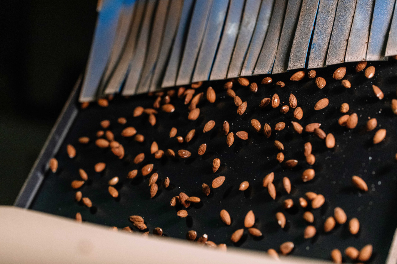 Accessibility Statement | AGR Partners